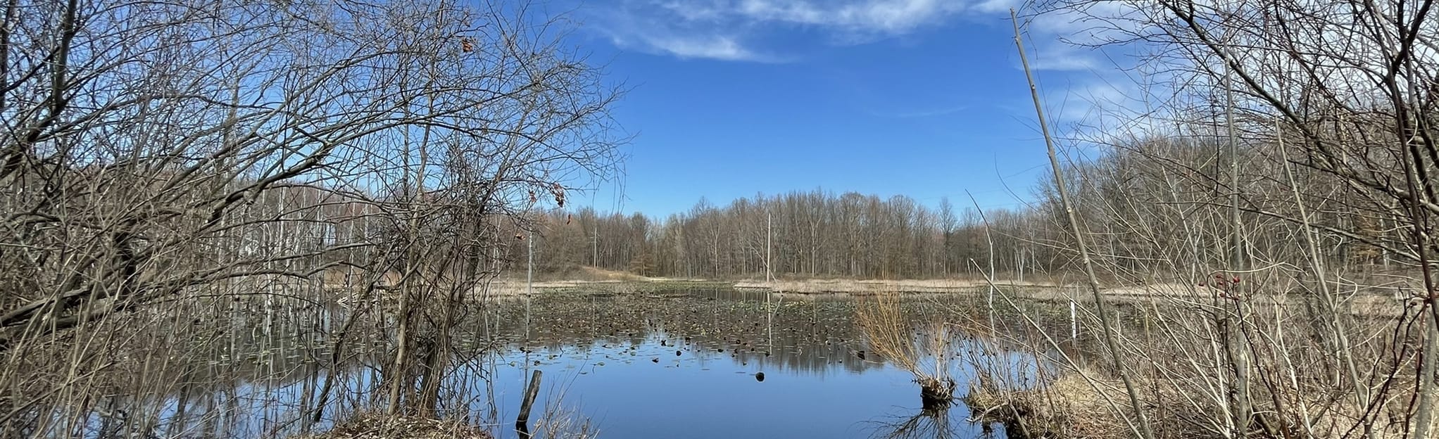 Bike and Hike Trail, Southwest Section, Ohio - 256 Reviews, Map | AllTrails
