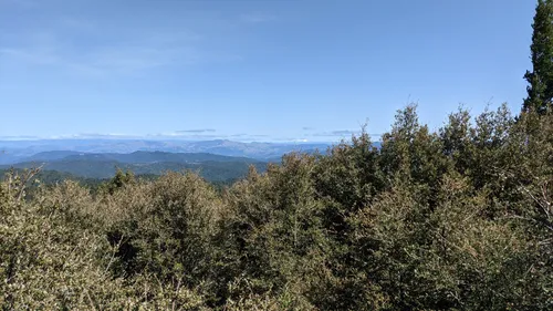 10 Best Hikes and Trails in King Range Wilderness | AllTrails