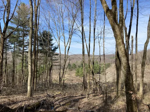 Best Hikes and Trails in Butler | AllTrails