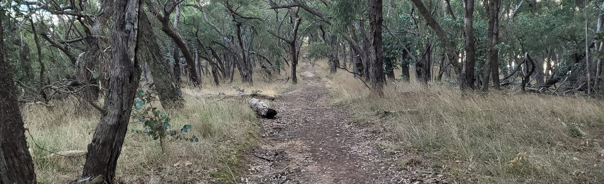 Monument Hill Reserve Short Loop: 20 Reviews, Map - Victoria, Australia ...