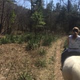 Kaintuck Hollow Acorn Section Trail, Missouri - 141 Reviews, Map ...