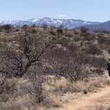 Windmill, Powerline and Kanally Wash Trail Loop , Arizona - 81 Reviews ...