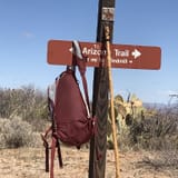 Windmill, Powerline and Kanally Wash Trail Loop , Arizona - 81 Reviews ...