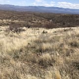 Windmill, Powerline and Kanally Wash Trail Loop , Arizona - 81 Reviews ...