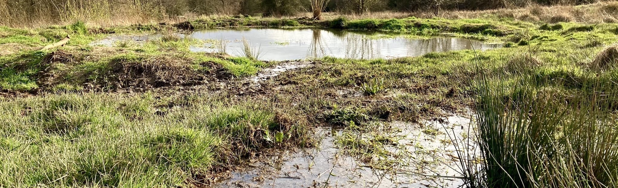 Harrow View Point and Bentley Priory Circular - Hertfordshire, England ...