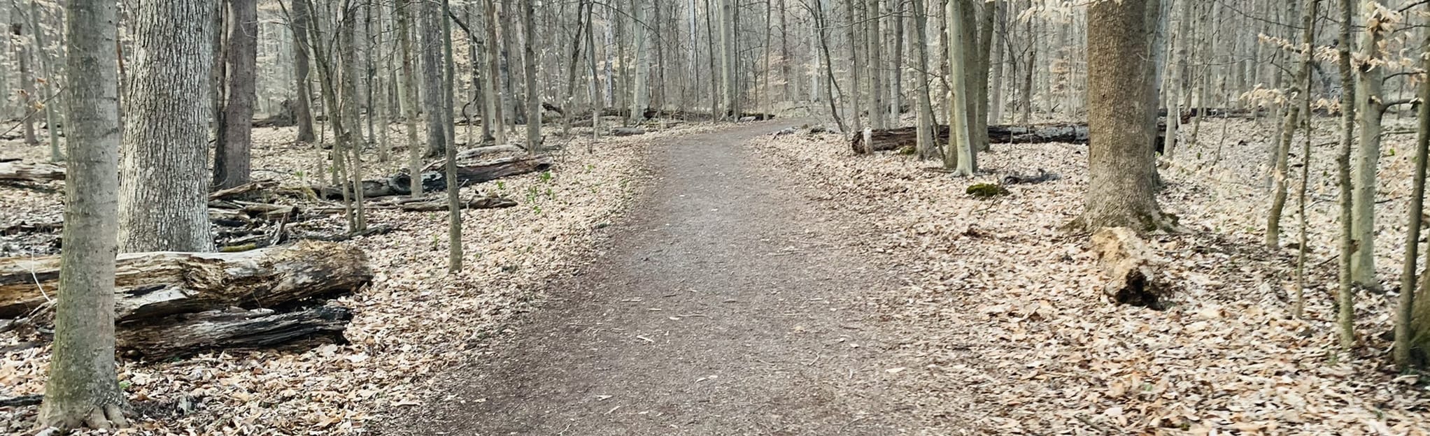 Poland Village Southern Loop: 59 Reviews, Map - Ohio | AllTrails