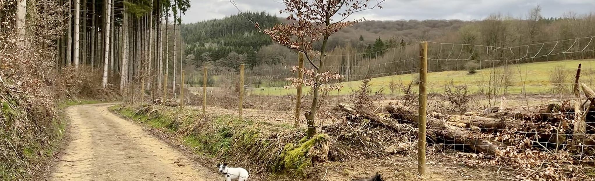 Von Redingen rund um Beckerich, Redange, Luxembourg - Map, Guide ...