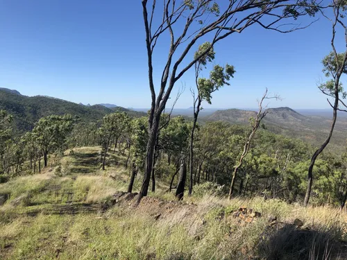 2023 Best Camping Trails in Mount Britton | AllTrails