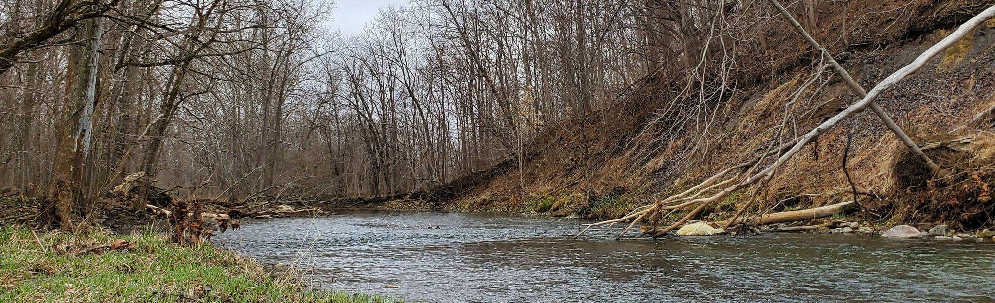 Flood Plain Trail, Ohio - 9 Reviews, Map | AllTrails