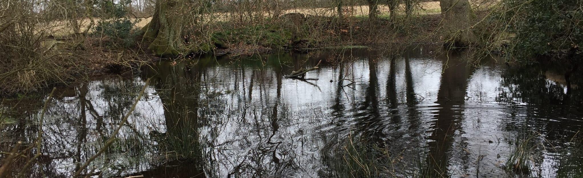 Great Missenden - Buckland Common Circular: 61 Fotos - Buckinghamshire ...