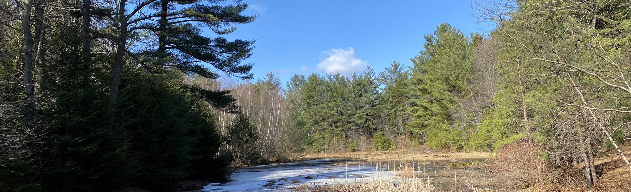 Maple Tract: Blue Trail, Pennsylvania - 3 Reviews, Map | AllTrails