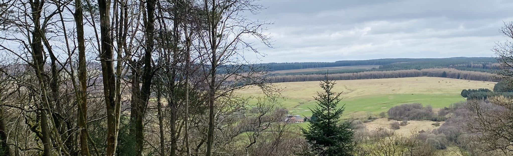 Dalby Forest Woodcock Way Circular, North Yorkshire, England - 83 ...