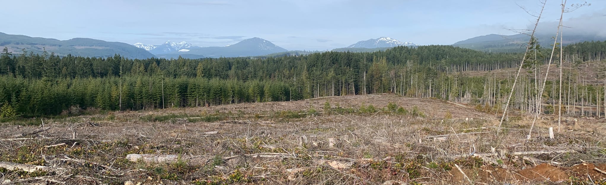 Bushwhacker, Wonderwall, and Alternative Facts: 24 Reviews, Map ...