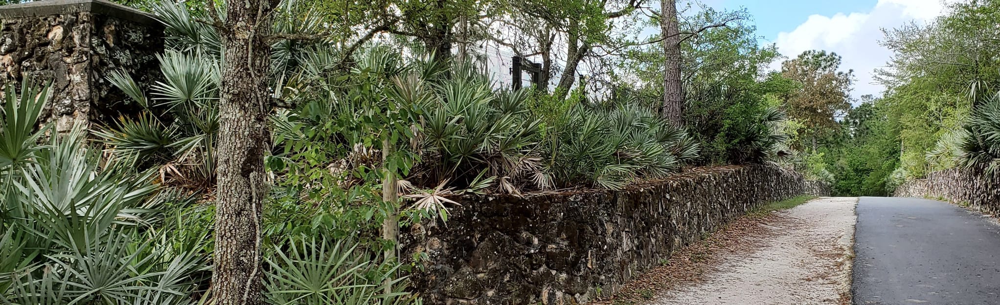 Cross Florida Greenway: Land Bridge Section Loop - Florida | AllTrails