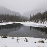 Goat Pond, Alberta, Canada - 135 Reviews, Map | AllTrails