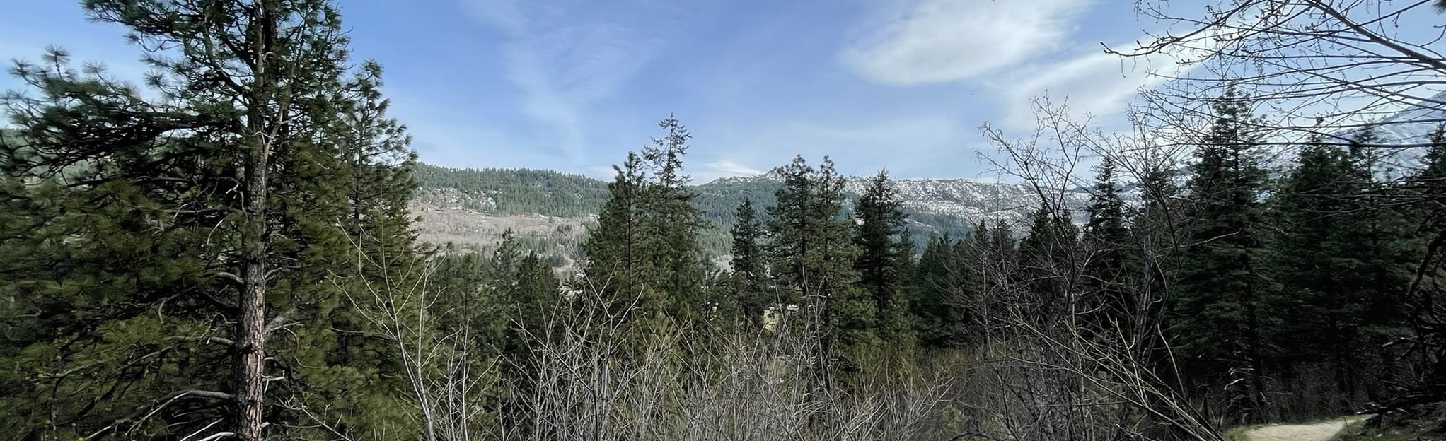 Icicle Ridge Trail Overlook, Washington - 3,406 Reviews, Map | AllTrails