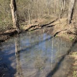 Kaintuck Hollow Acorn Section Trail, Missouri - 141 Reviews, Map ...