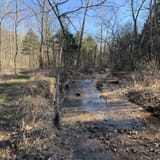 Kaintuck Hollow Acorn Section Trail, Missouri - 141 Reviews, Map ...