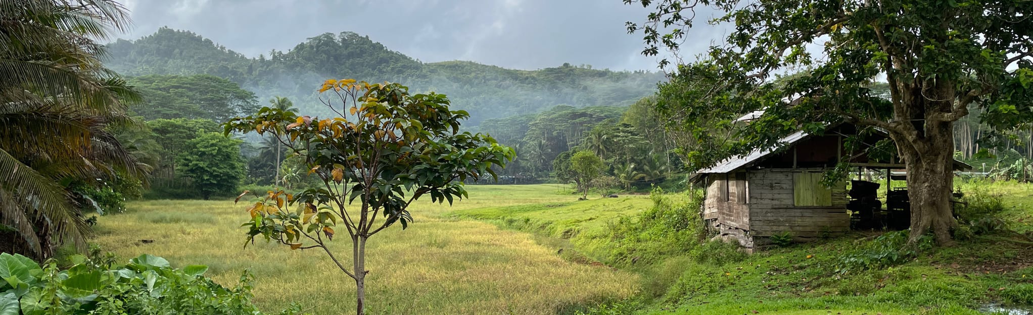 Surigao - Silop Cave Trail, Surigao del Norte, Philippines - Map, Guide ...