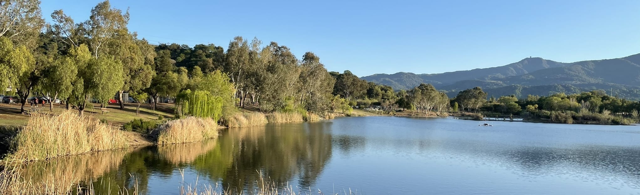 Almaden Lake, California - 773 Reviews, Map | AllTrails