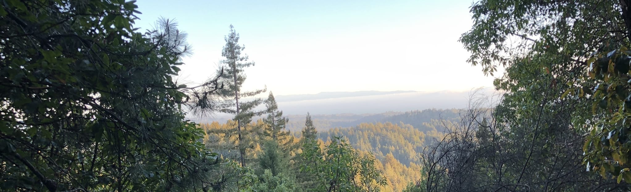 Five Finger Falls Trail, California - 111 Reviews, Map | AllTrails