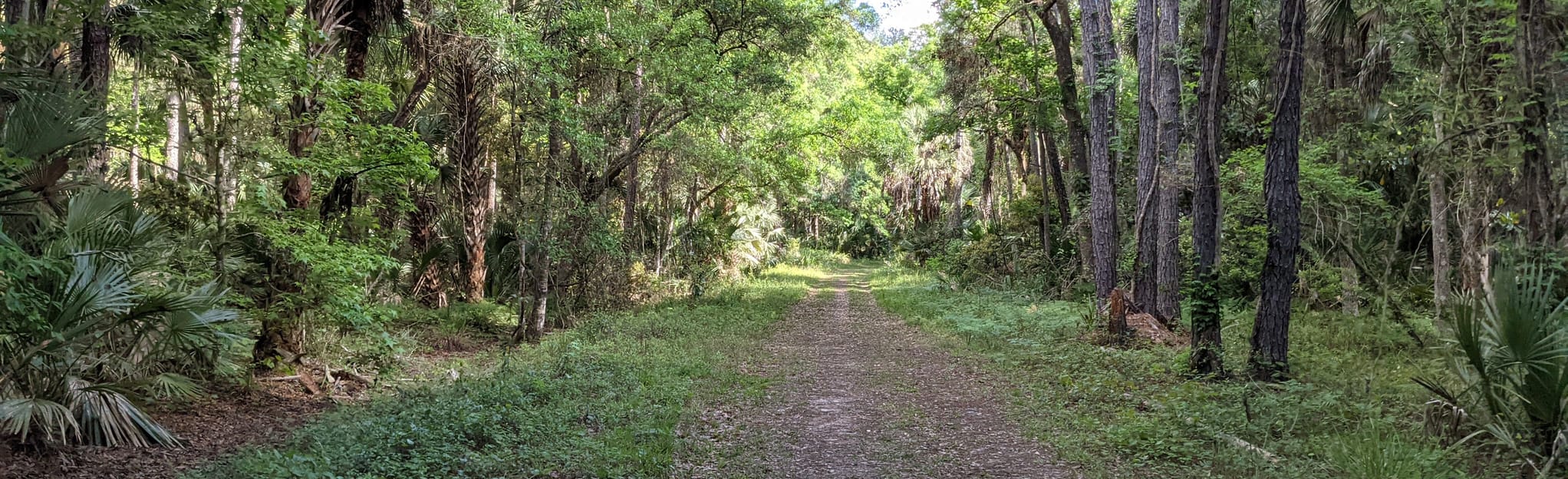 Sabal Point Sanctuary Trail: 238 Fotos - Flórida | AllTrails