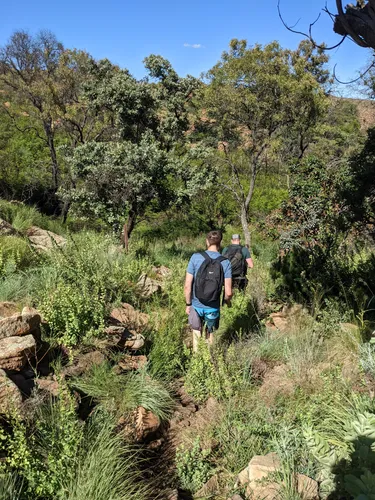 Best Hikes and Trails in Mooinooi | AllTrails