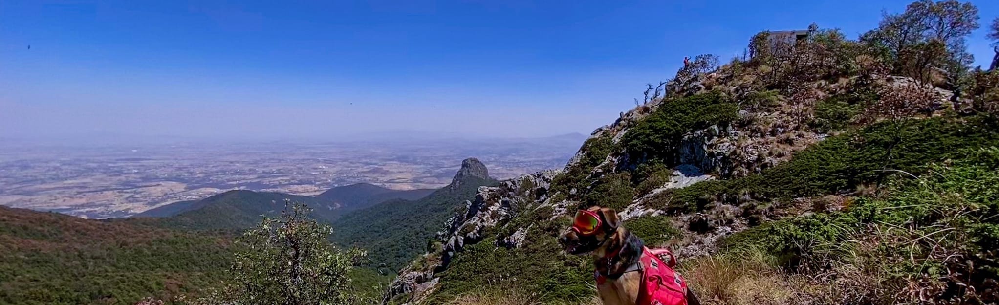 Cerro Pelón de Ñado, Aculco: 2 Reviews, Map - Querétaro, Mexico | AllTrails