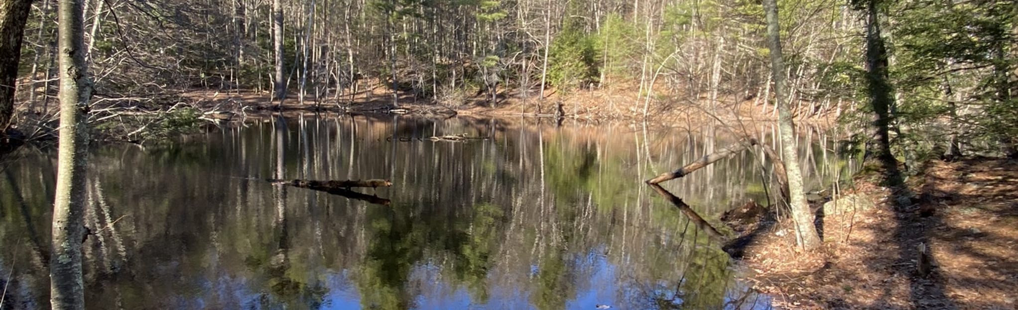Mount Misery Loop: 735 Reviews, Map - Massachusetts | AllTrails