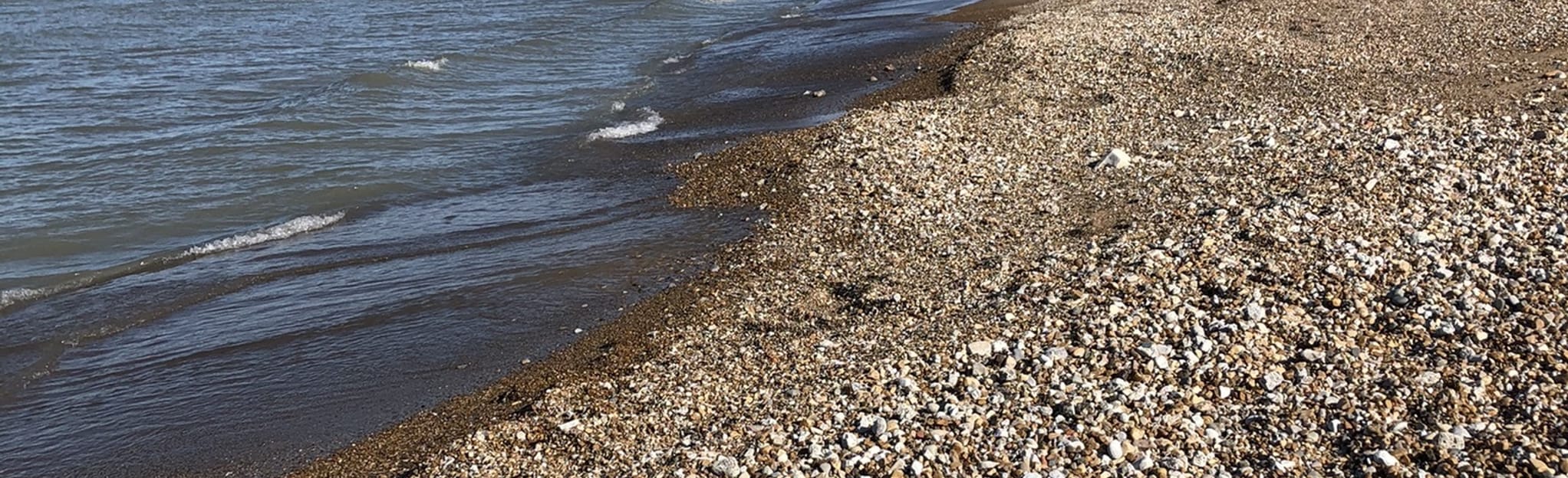 Whihala Beach Trail: 42 Reviews, Map - Indiana | AllTrails