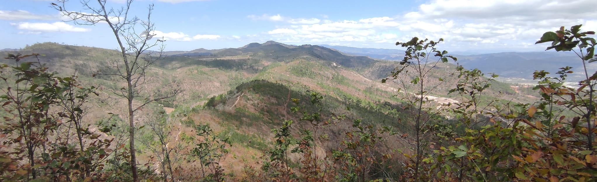El Cimarrón Summit: 22 foto's - Francisco Morazán, Honduras | AllTrails