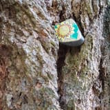 Saxe Point Park Loop, British Columbia, Canada - 303 Reviews, Map ...
