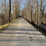 Holmes County Trail, Ohio - 199 Reviews, Map | AllTrails
