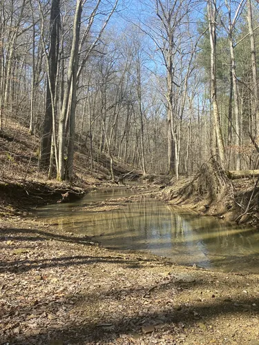 Best River Trails in Norman | AllTrails