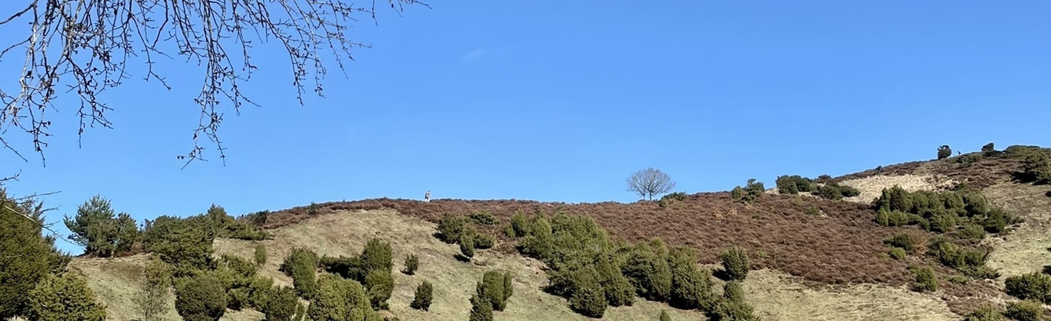 Rold Skov - Rebild Bakker | Map, Guide - North Denmark, Denmark | AllTrails