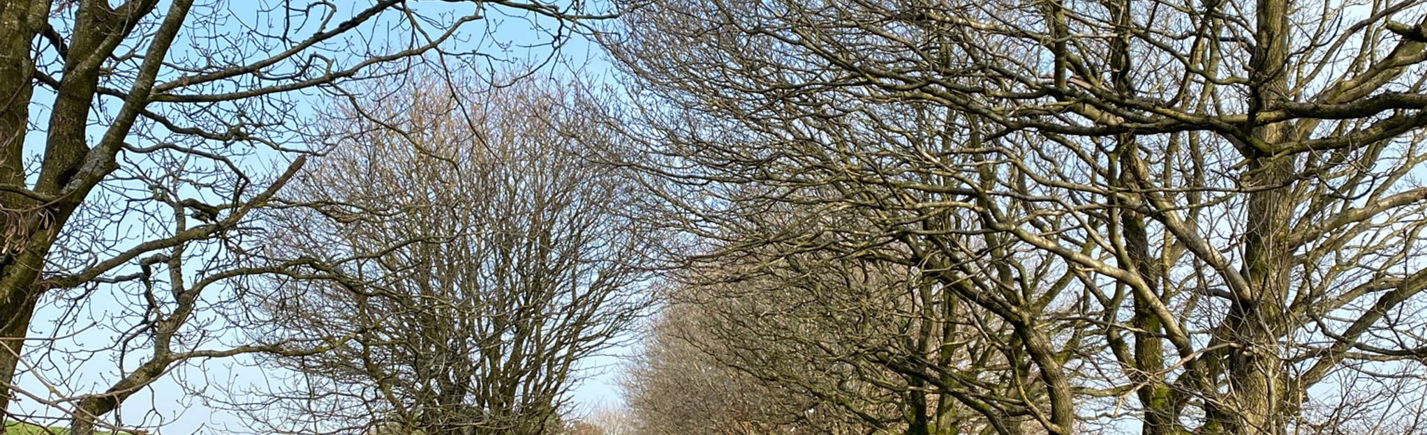 High Rid Reservoir - Greater Manchester, England | AllTrails