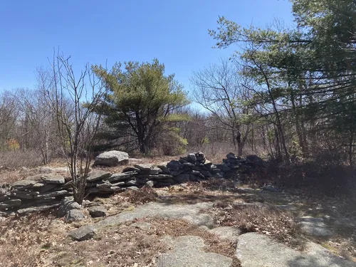 Best Hikes and Trails in Susan B. Minns Sanctuary | AllTrails