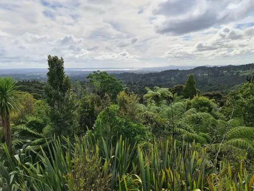 10 Best Hikes and Trails in Waitakere Ranges Regional Park | AllTrails