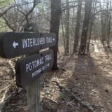 Potomac Trail, New York - 89 Reviews, Map | AllTrails