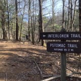 Potomac Trail, New York - 89 Reviews, Map | AllTrails