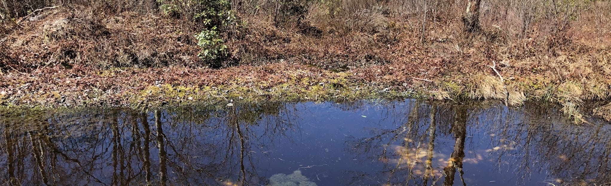 Beaver Creek, Rock Shock, and Trails Road Trail Loop: 21 Reviews, Map ...