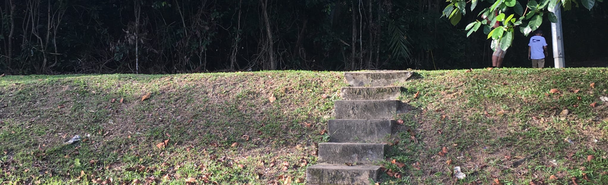 Taman Rakyat Main Loop: 69 Reviews, Map - Selangor, Malaysia | AllTrails