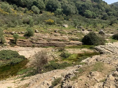 10 Best Hard Trails in Har Meron Nature Reserve | AllTrails