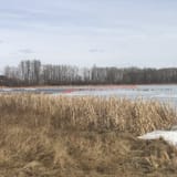 Hasse Lake, Alberta, Canada - 80 Reviews, Map | AllTrails