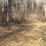 Hasse Lake, Alberta, Canada - 80 Reviews, Map | AllTrails