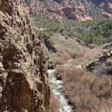 Gilman Tunnels Trail, New Mexico - 92 Reviews, Map | AllTrails