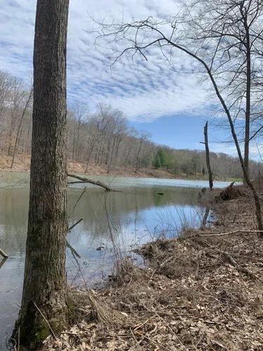 Best Hikes and Trails in Ferdinand State Forest | AllTrails