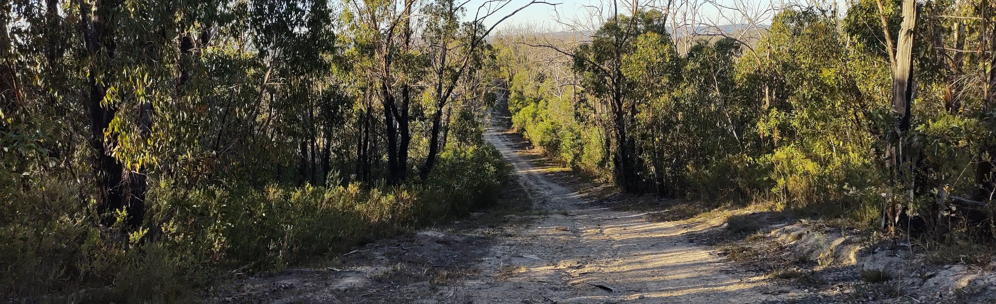 Devils Gully Tracks Loop, South Australia, Australia - 7 Reviews, Map ...