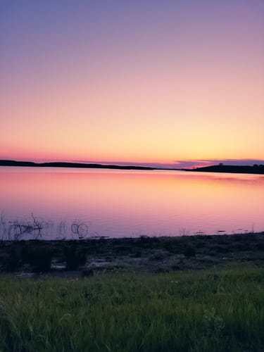 Best Hikes and Trails in Turlock Lake State Recreation Area | AllTrails