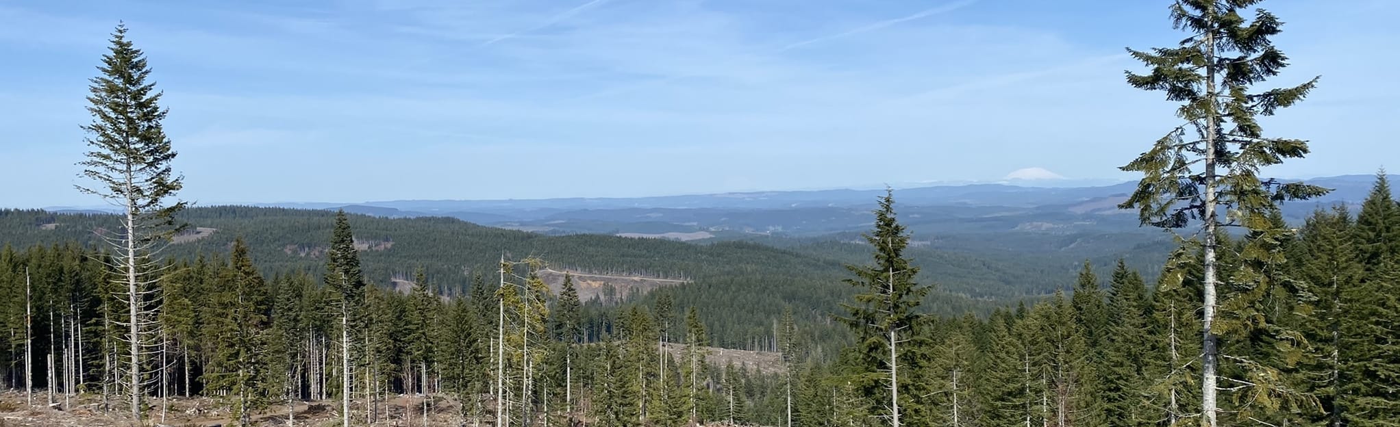 Raven Ridge Trail - Oregon | AllTrails